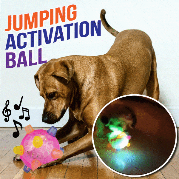 Dotmalls™ Pet Ball Endless Entertainment for Your Furry Friend! – lilndary